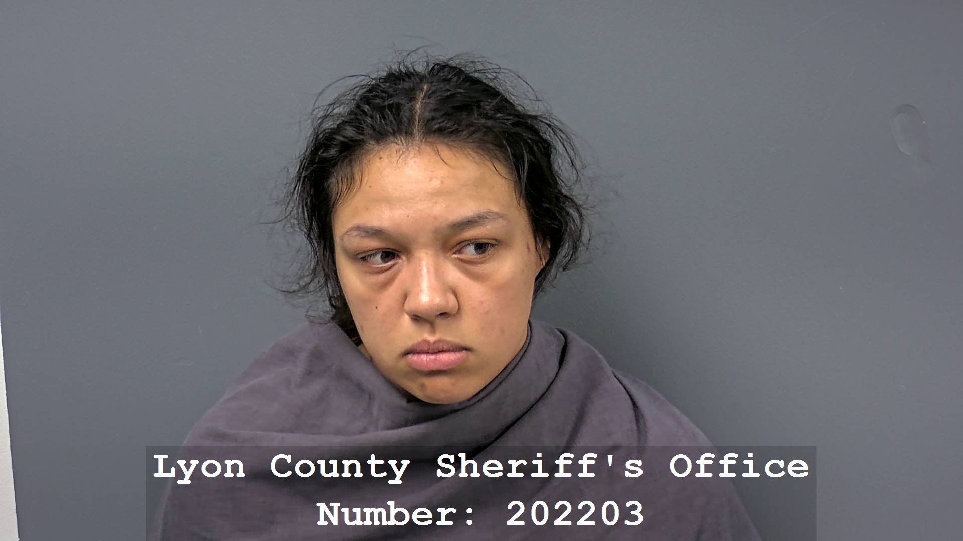 Inmate Search - Lyon County Sheriff's Office